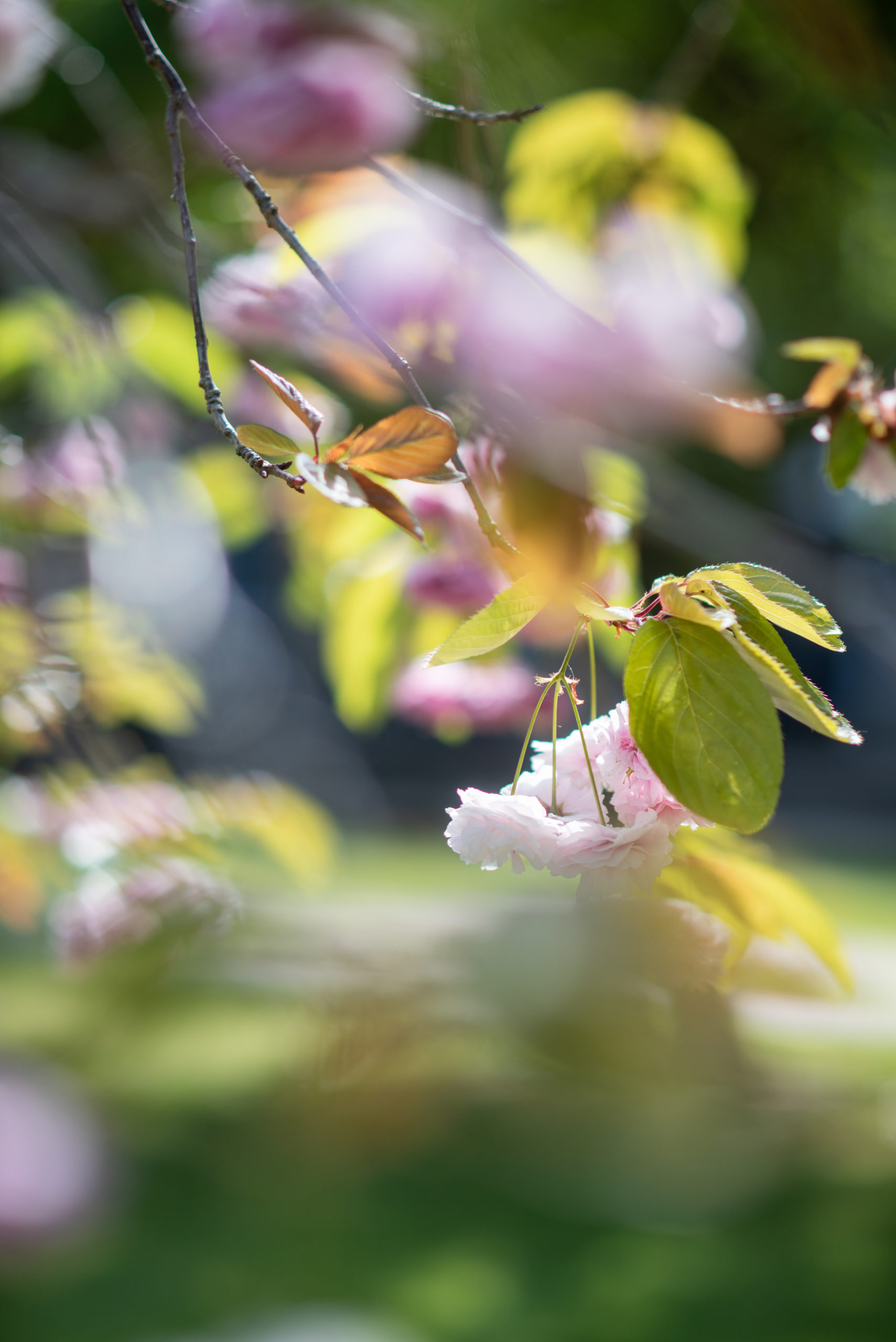 The Right Reverend Dr Keith Riglin - Regent's Park College